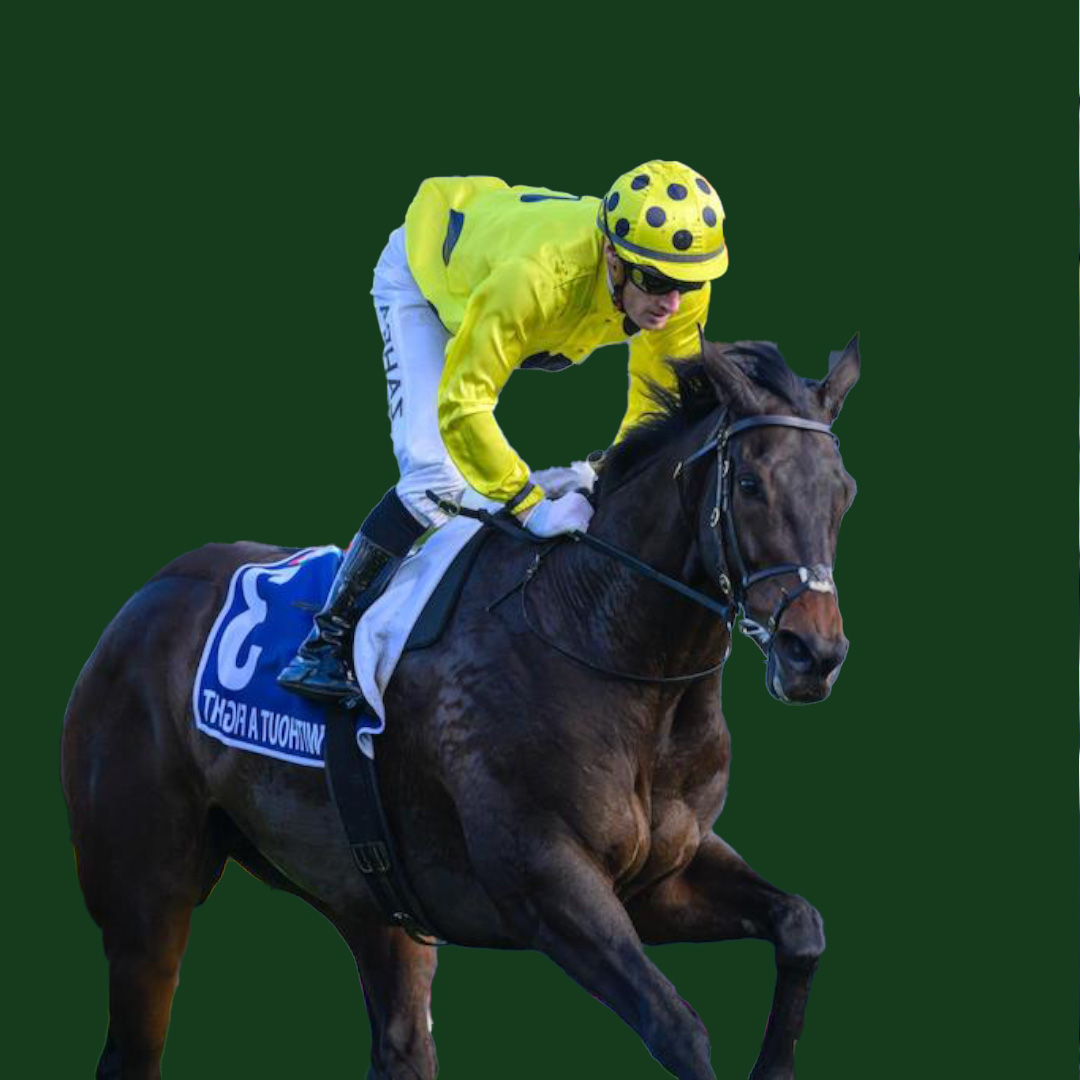 Great Value Spring Contenders | Stridyl