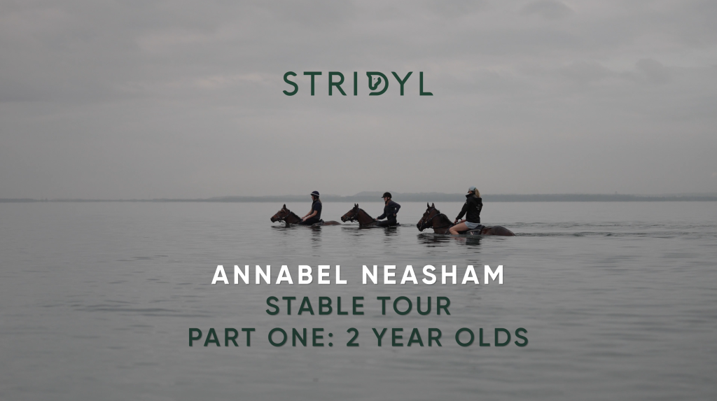 Stable Tour with Annabel Neasham: 2-Year-Olds, Sires to follow, and ...