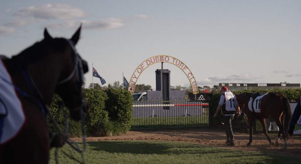 Stridyl is excited to announce its official partnership with Dubbo Turf ...