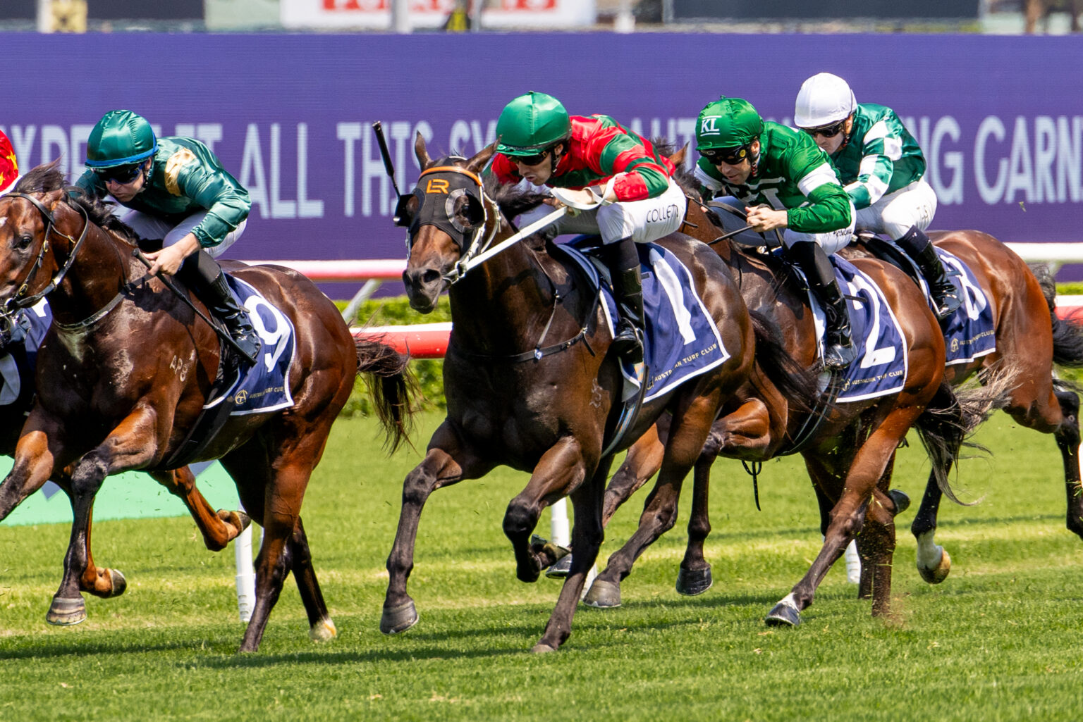 Group One Thoroughbreds: A Personal Ownership Experience | Stridyl